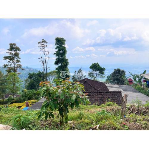 Dijual Rumah Idaman Kemuning Ngargoyoso LT700 di Karanganyar - Tribun ...