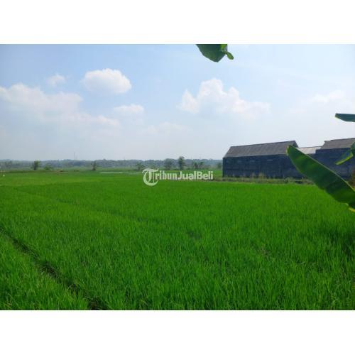 Dijual Tanah Sawah SHM Akses Lokasi Strategis Siap Pakai di Bantul ...