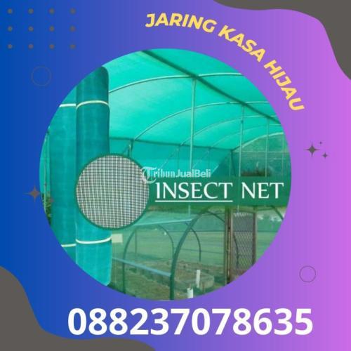 Kasa Hijau Jaring Harga Terjangkau di Surabaya - Tribun JualBeli Kasa Hijau Jaring Harga Terjangkau di Surabaya - Tribun JualBeli