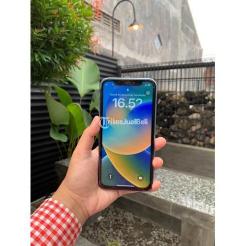HP iPhone XR Bekas 256 GB Warna Biru Siap Pakai Harga Terjangkau di ...