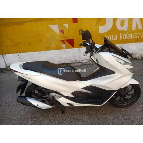 Motor Bekas Honda PCX 2020 Putih Nominus Mesin Sehat Surat Lengkap di ...