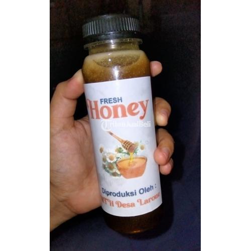 Madu Murni Harga Terjangkau di Morowali - Tribun JualBeli
