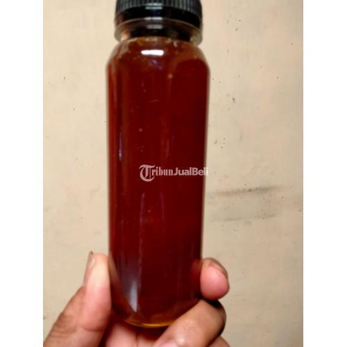Madu Murni Harga Terjangkau di Morowali - Tribun JualBeli