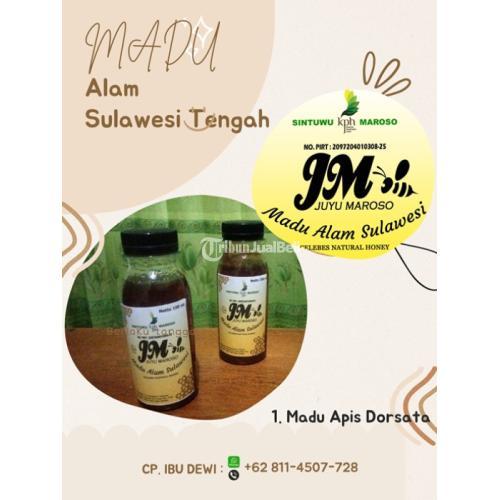 Madu Alami Sulawesi Tengah - Tribun JualBeli