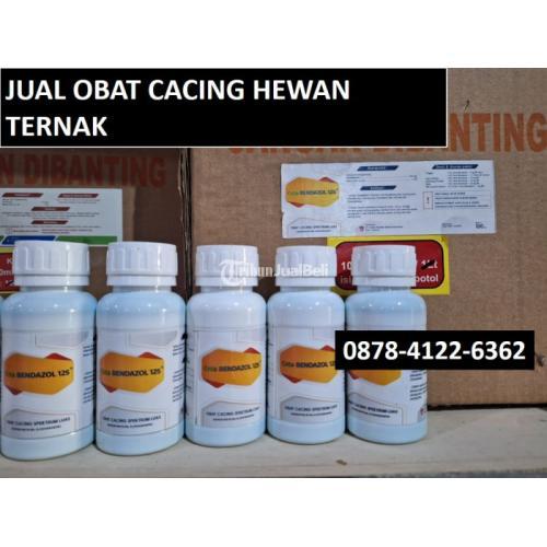 OBAT CACING HEWAN TERNAK - Tribun JualBeli
