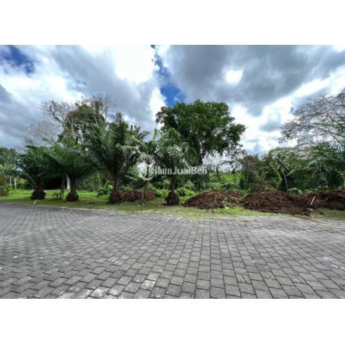 Dijual Tanah DL View Sawah Sungai Greenlot Munggu di Badung Bali ...
