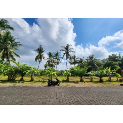 Dijual Tanah DL View Sawah Sungai Greenlot Munggu di Badung Bali ...