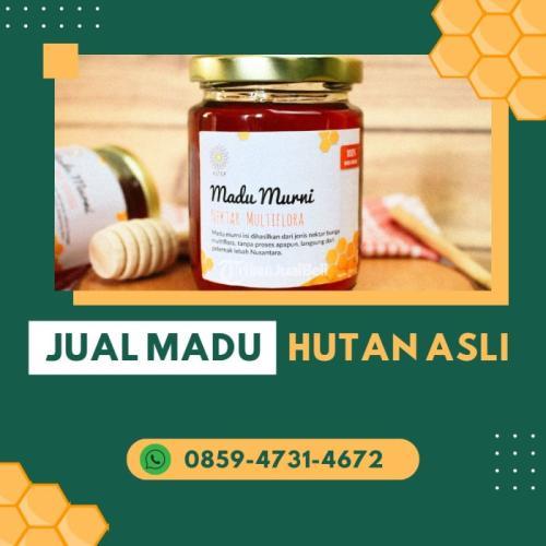 Madu Alami Harga Terjangkau di Sukabumi Kota - Tribun JualBeli