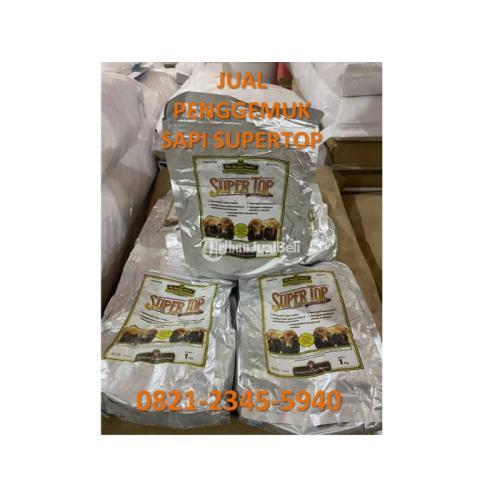 Premix Sapi Multivitamin dan Mineral Penggemuk Ternak di Kediri - Tribun JualBeli