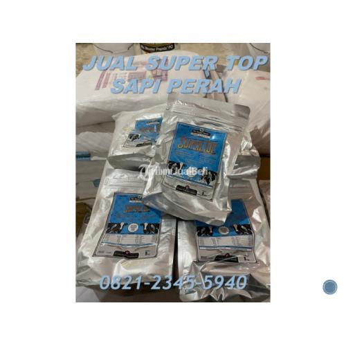 Suplemen Sapi Perah Badas di Kediri Kota - Tribun JualBeli