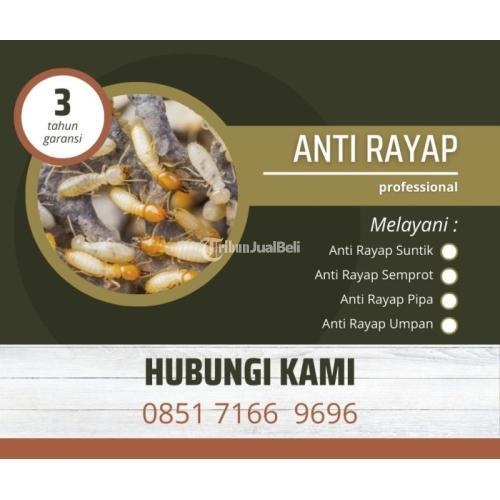 Jasa Profesional Anti Rayap di Jepara - Tribun JualBeli