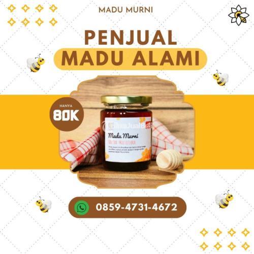 Penjual Madu Alami di Sukabumi - Tribun JualBeli