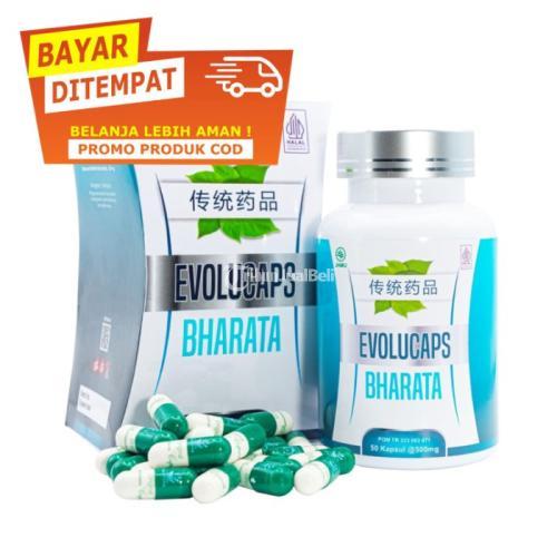 Pelangsing Badan Evolucaps Bharata di Banjar - Tribun JualBeli