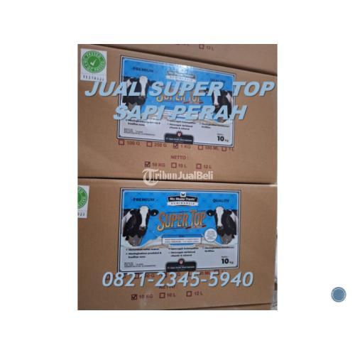 Vitamin untuk Sapi Perah Harga Terjangkau di Kediri Kota - Tribun JualBeli