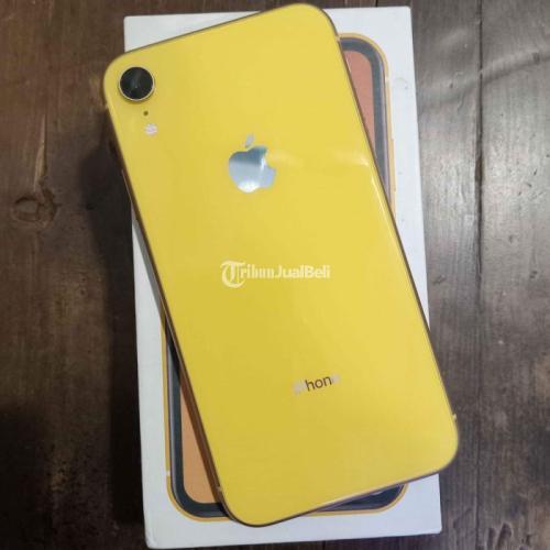 HP iPhone XR Bekas 64 GB Siap Pakai Kondisi Mulus Harga Nego Kondisi ...