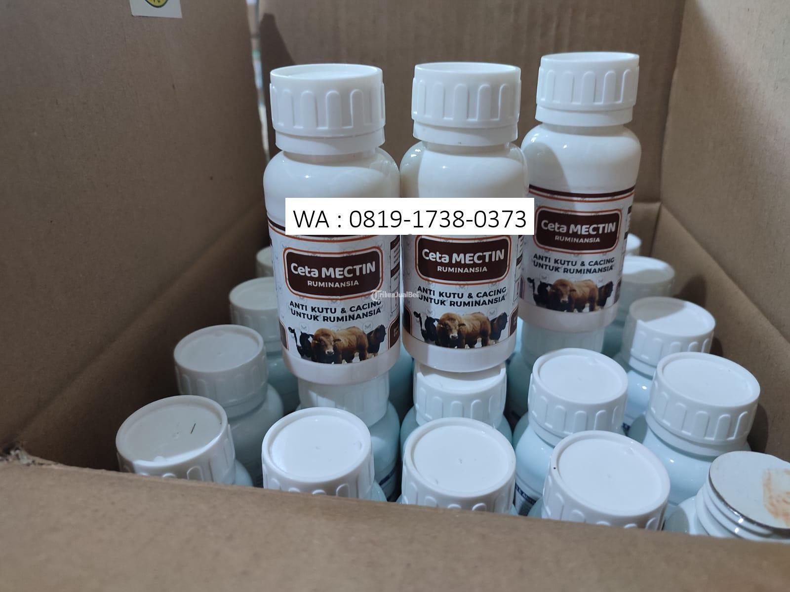Obat untuk Menghilangkan Kutu Pada Sapi di Bandung - Tribun JualBeli