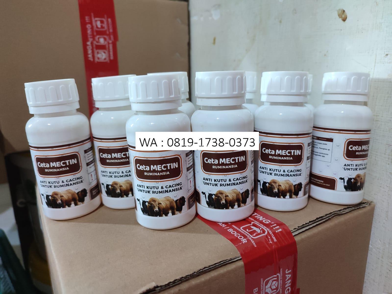 Obat Untuk Kutu Sapi di Bandung - Tribun JualBeli