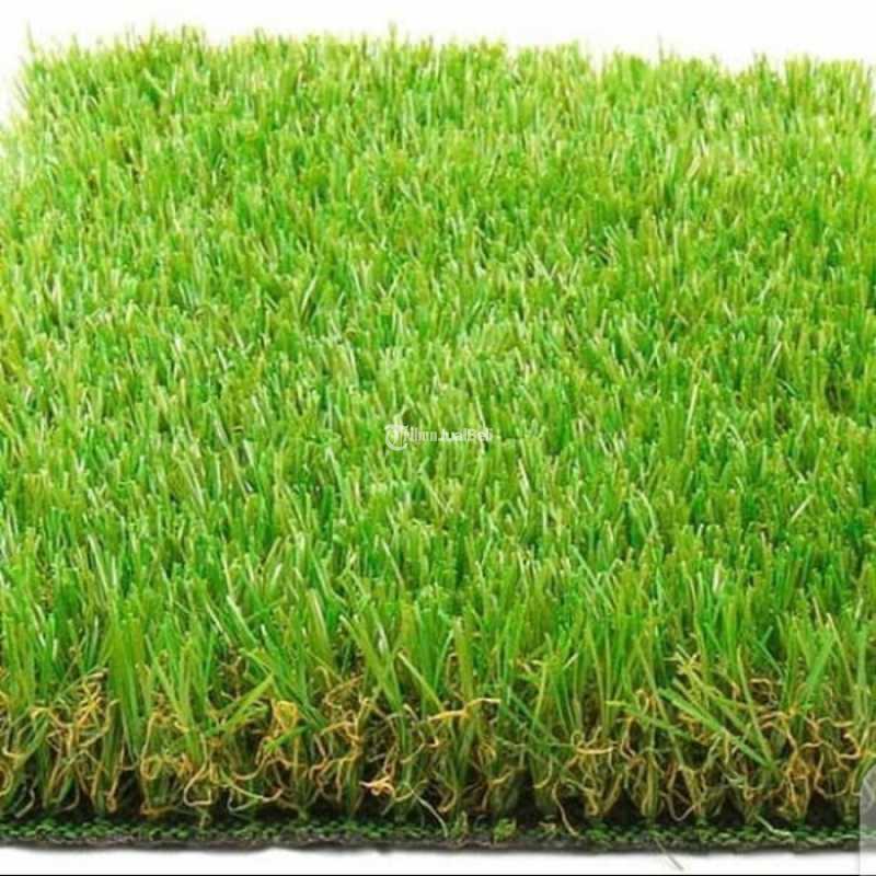 Supplier Rumput Sintetis Bisa Bayar Di Tempat Di Bekasi Kota Tribun Jualbeli