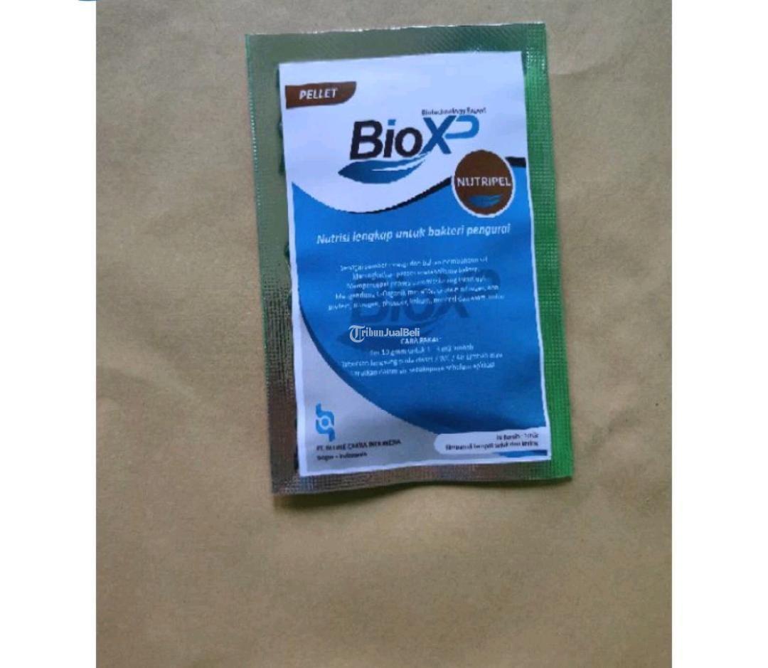 Nutrisi Bakteri 081230040533 - Tribun JualBeli Nutrisi Bakteri 081230040533 - Tribun JualBeli