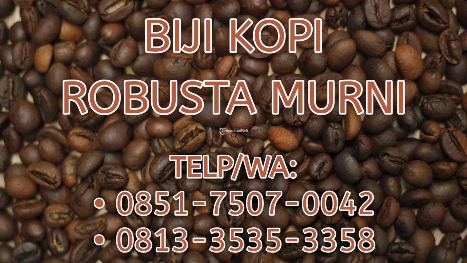 Distributor Kopi Robusta Terbaik Depok Jakarta Bekasi di Sidoarjo ...