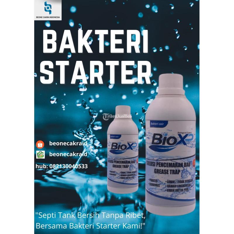 Flash Sale Awal Tahun Bakteri Starter Beone Cakra Indonesia di Bogor ...