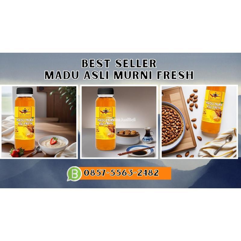 Madu Hutan Asli Harga Terjangkau di Madiun Jawa Timur - Tribun JualBeli