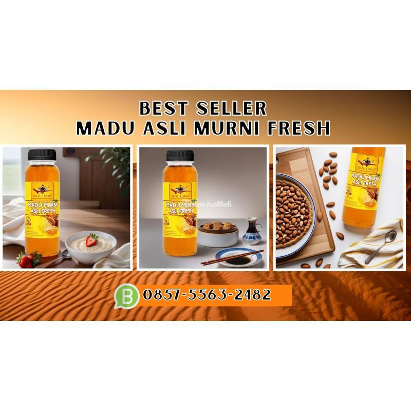 Madu Hutan Asli Harga Terjangkau di Madiun Jawa Timur - Tribun JualBeli