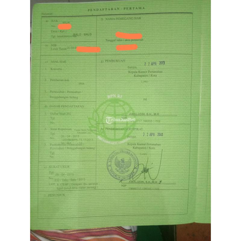 Jual Tanah Sawah Produktif SHM Lengkap di Luwu Sulawesi Selatan ...