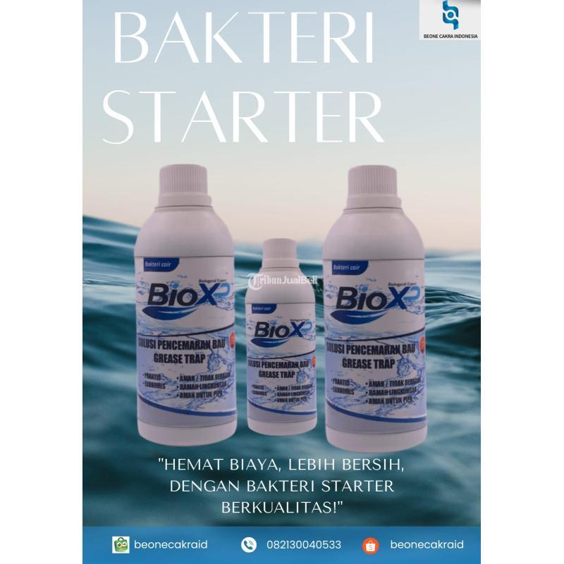 Grosir Hemat Bakteri Starter Beone Cakra Indonesia – Bogor Jawa Barat ...