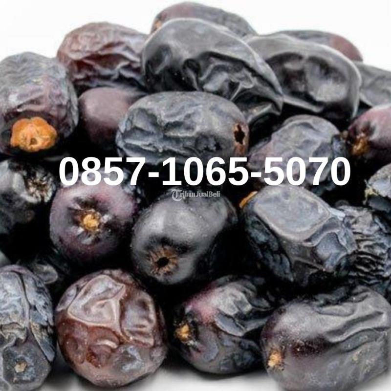 Pusat kurma ajwa Sewon di Bantul Yogyakarta - Tribun JualBeli