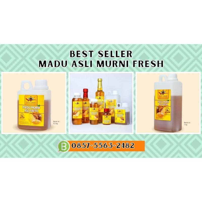 0857di5563di2482 Madu Hutan Asli Manfaat Di Madiun - Tribun JualBeli
