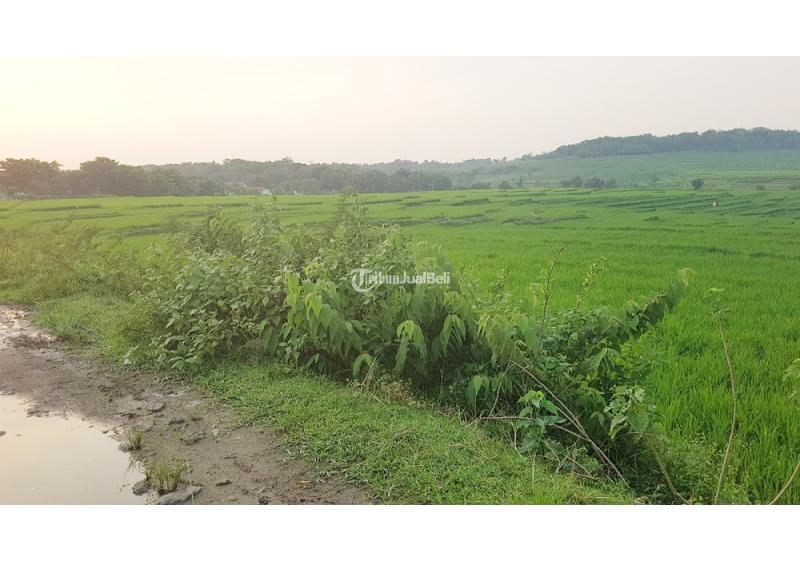 Dijual Tanah 12.800 m2 di Jonggol Bogor Dekat Dengan Rencana Proyek ...