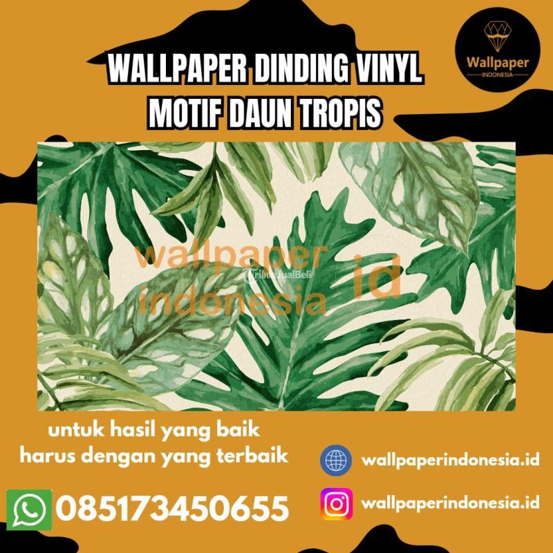Wallpaper Dinding Vinyl Motif Daun Tropis di Malang Kota Jawa Timur ...