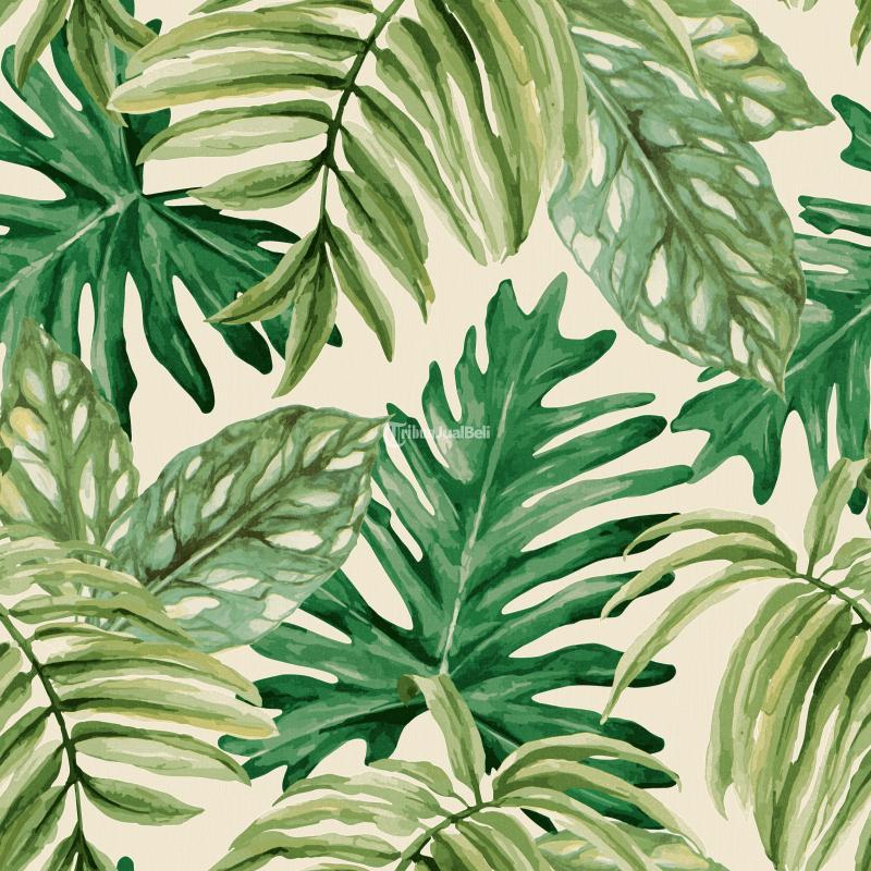 Wallpaper Vinyl Motif Daun Monstera di Malang Jawa Timur - Tribun JualBeli