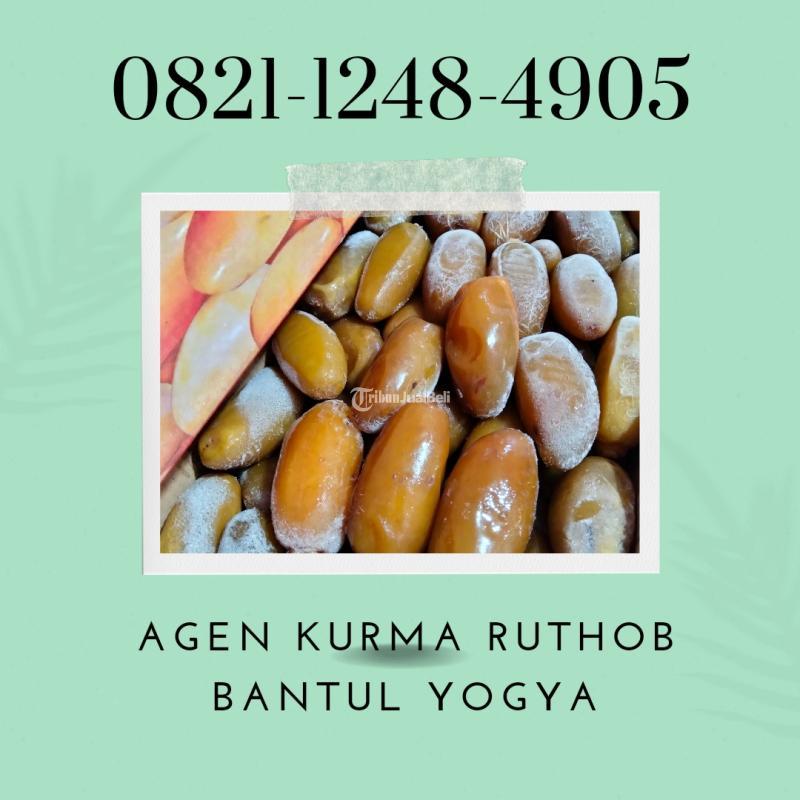 Agen Kurma Ruthob di Bantul Yogyakarta - Tribun JualBeli