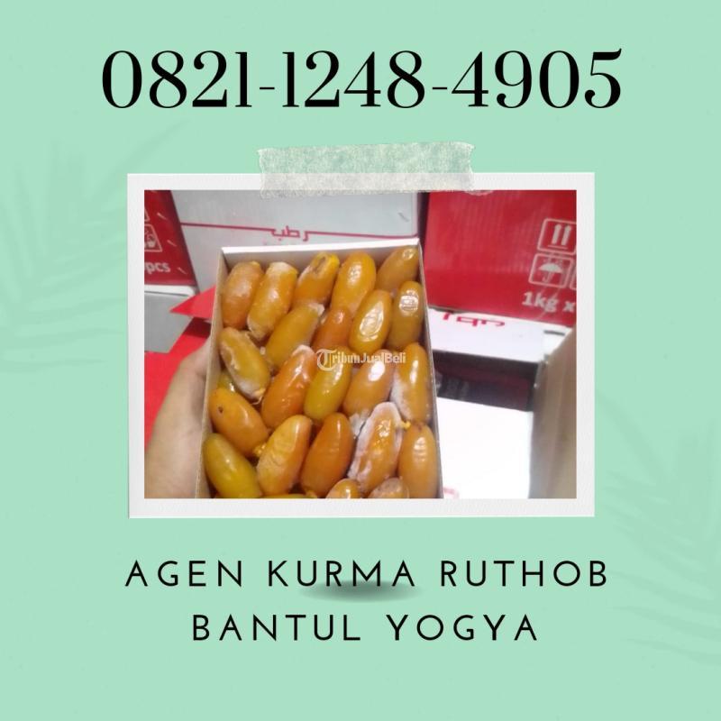 Agen Kurma Ruthob di Bantul Yogyakarta - Tribun JualBeli