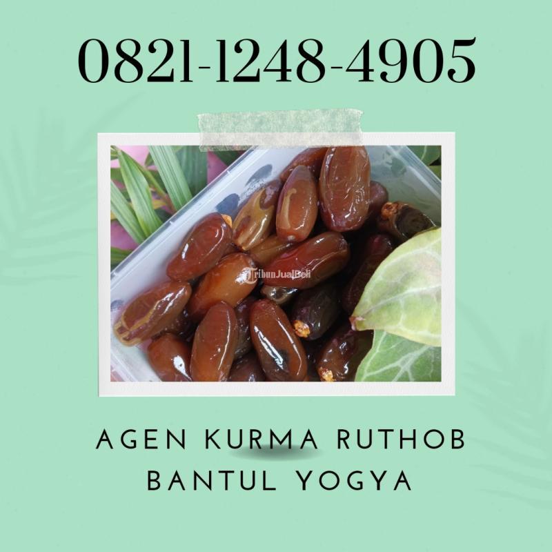 Agen Kurma Ruthob di Bantul Yogyakarta - Tribun JualBeli