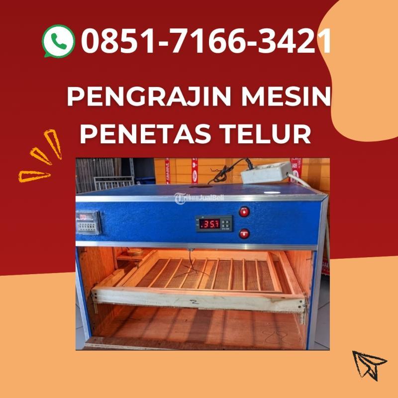 Mesin Penetas Telur Walet Siap Kirim di Pasuruan - Tribun JualBeli