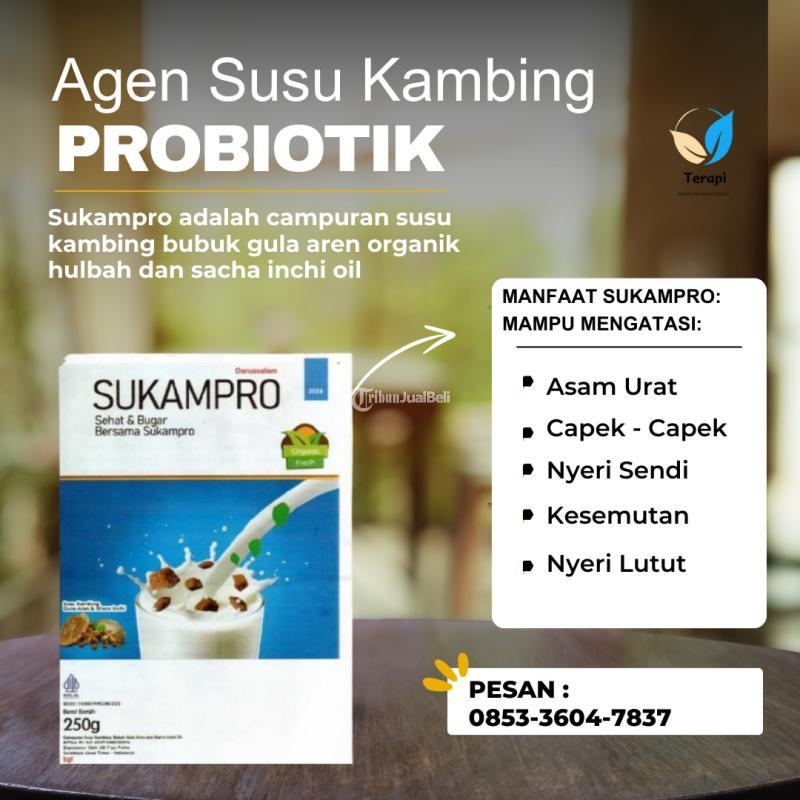 Susu Kambing Probiotik untuk Kesehatan Pencernaan di Surabaya - Tribun ...