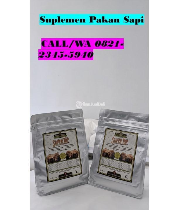 Obat Penggemuk Sapi Tradisional di Kediri Kota - Tribun JualBeli