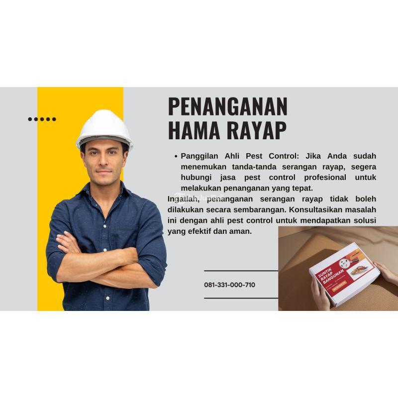 Jasa Basmi Rayap Suntik Rayap Pest Control di Semarang - Tribun JualBeli