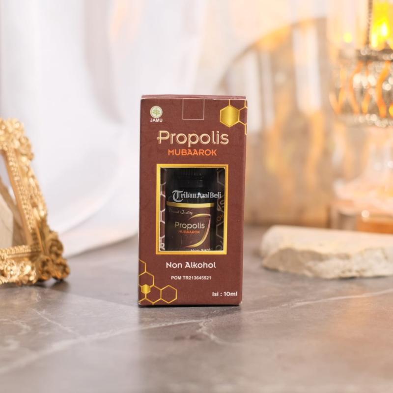 Propolis Mubaarok Obat Herbal Untuk Mengatasi ParudiParu Termanjur di ...