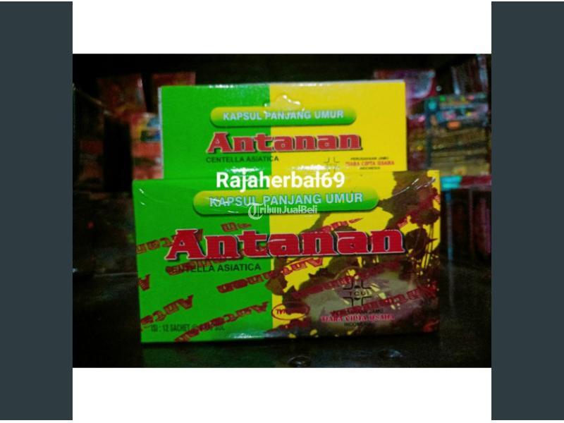 Antanan Kapsul Panjang Umur di Jakarta Utara - Tribun JualBeli