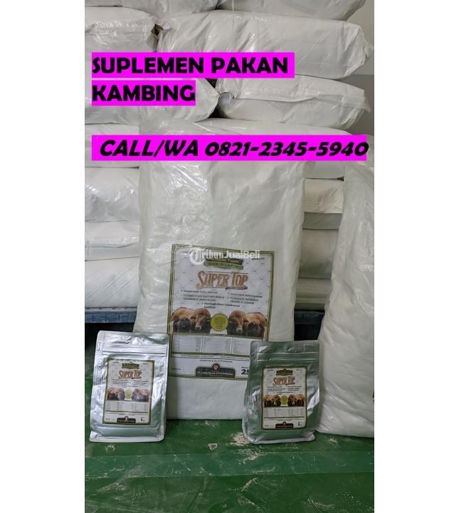 Premix Pakan Ternak Sapi di Kediri - Tribun JualBeli