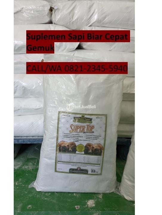 Premix Sapi Perah di Kediri - Tribun JualBeli