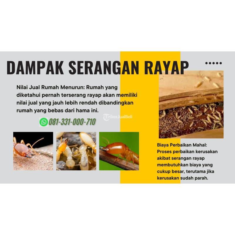 Basmi Berantas Rayap Anti Rayap Termurah Bergaransi Di Somagede di ...