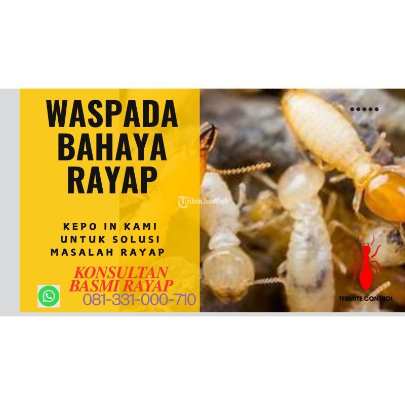 Anti Rayap Spray Basmi Murah Bergaransi di Mengwi di Badung - Tribun ...