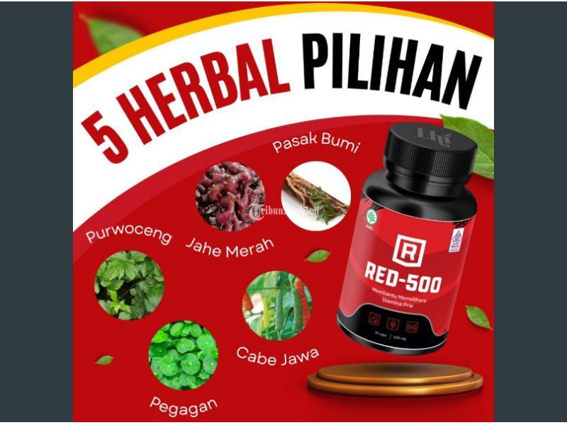 Reddi500 Original Suplemen Pria 3 Botol Isi 90 Kapsul Bpom Halal di ...