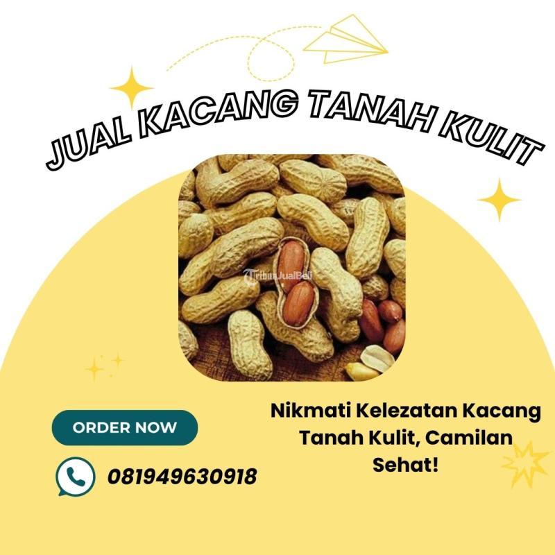 Distributor Cemilan Kacang Tanah Kulit di Malang - Tribun JualBeli