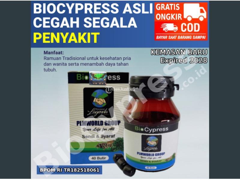 Biocypress Original Isi 40 Butir, Solusi Obat Herbal Stroke, Asam Urat ...